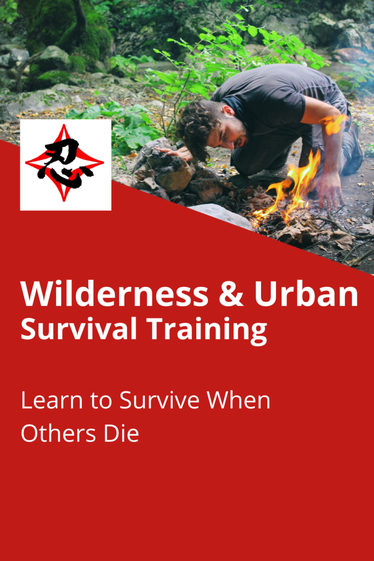 Online Ninja Academy - Serious Training for the Modern Warrior