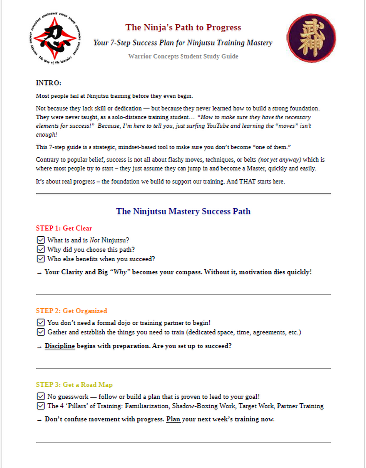 7-Step Success Plan PDF Blueprint - Lead Magnet - Online Ninja Academy